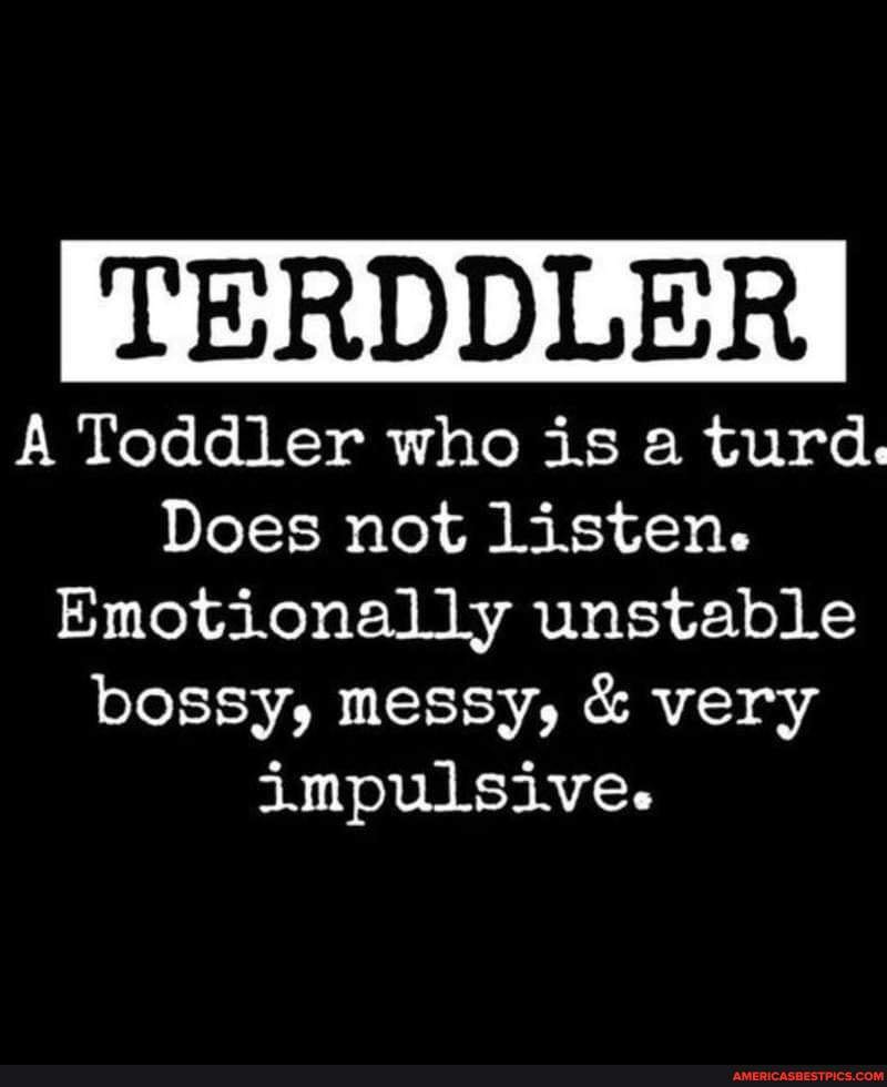 TERDDLER A Toddler who is a turd. Does not listen. Emotionally unstable ...