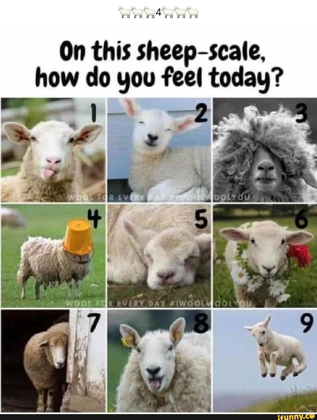 On this sheep-scale, how do you feel today? UL - iFunny