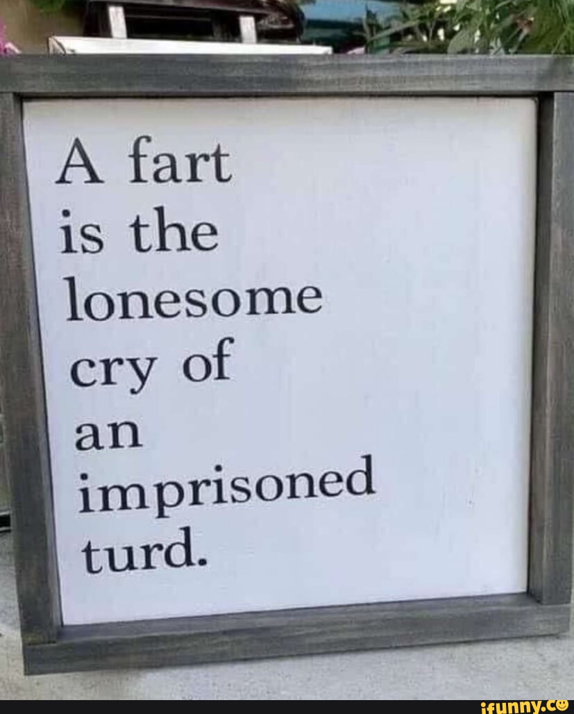 A fart is the lonesome cry of an imprisoned turd. - iFunny