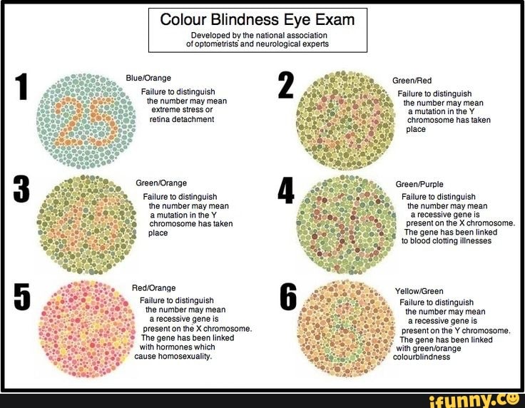 Colour Blindness Eye Exam Developed by the national association of ...