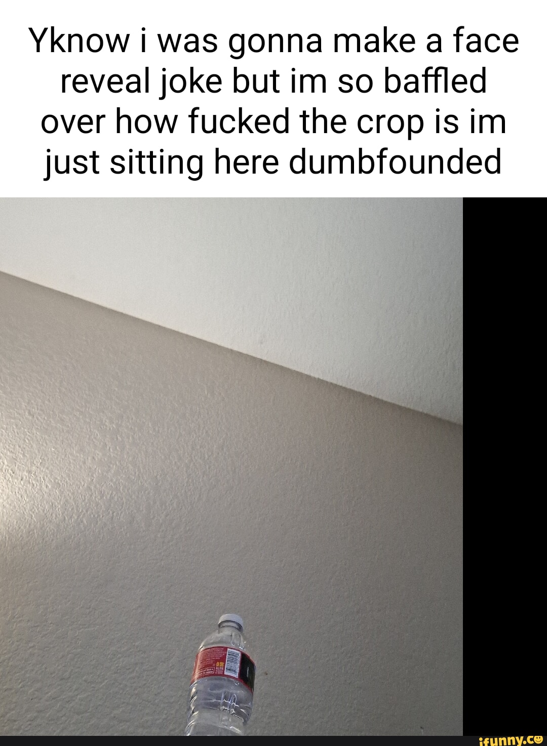 Dumbfounded memes. Best Collection of funny Dumbfounded pictures on iFunny