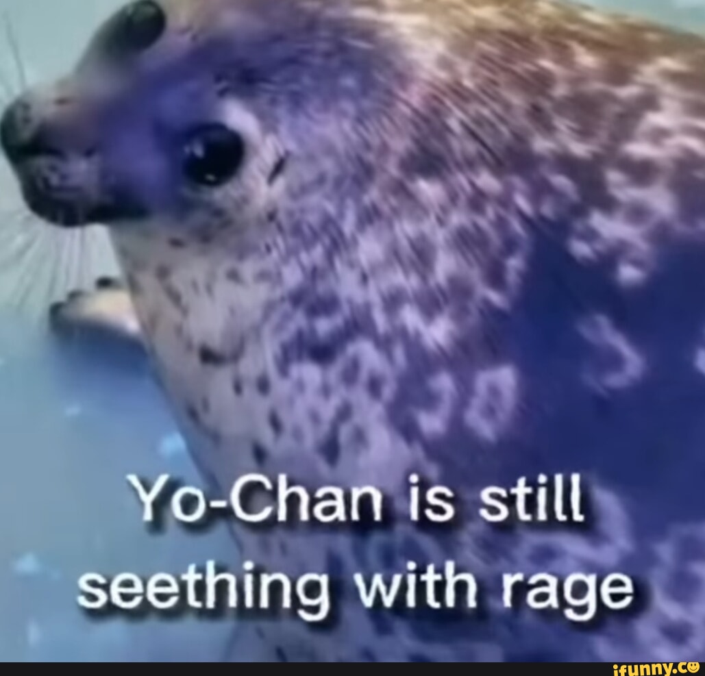 Yo-Chan is still ng with rage - iFunny