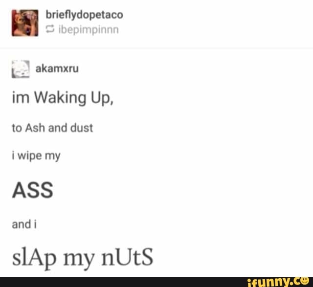 Slapmynuts memes. Best Collection of funny Slapmynuts pictures on iFunny