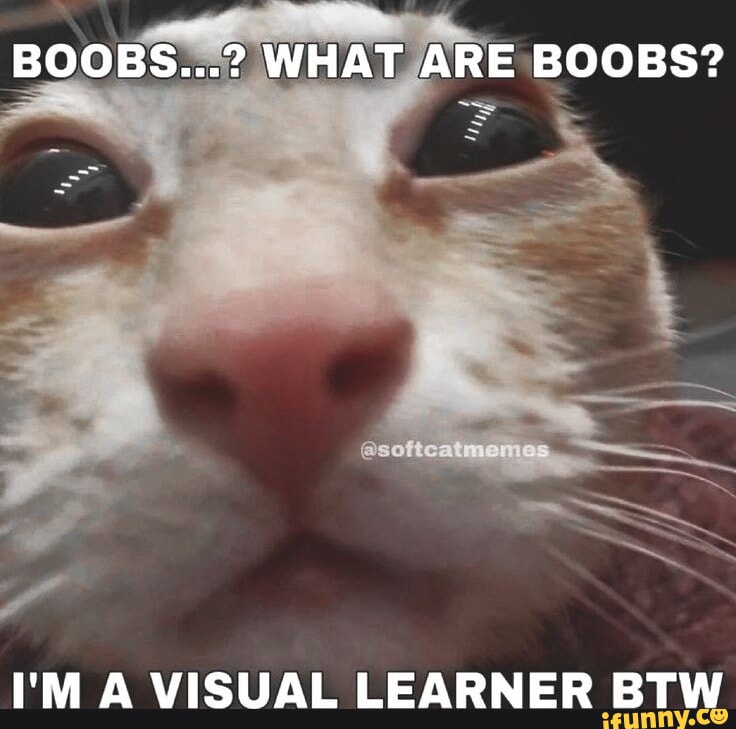 Cats memes. Best Collection of funny Cats pictures on iFunny