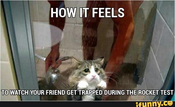 Drache memes. Best Collection of funny Drache pictures on iFunny