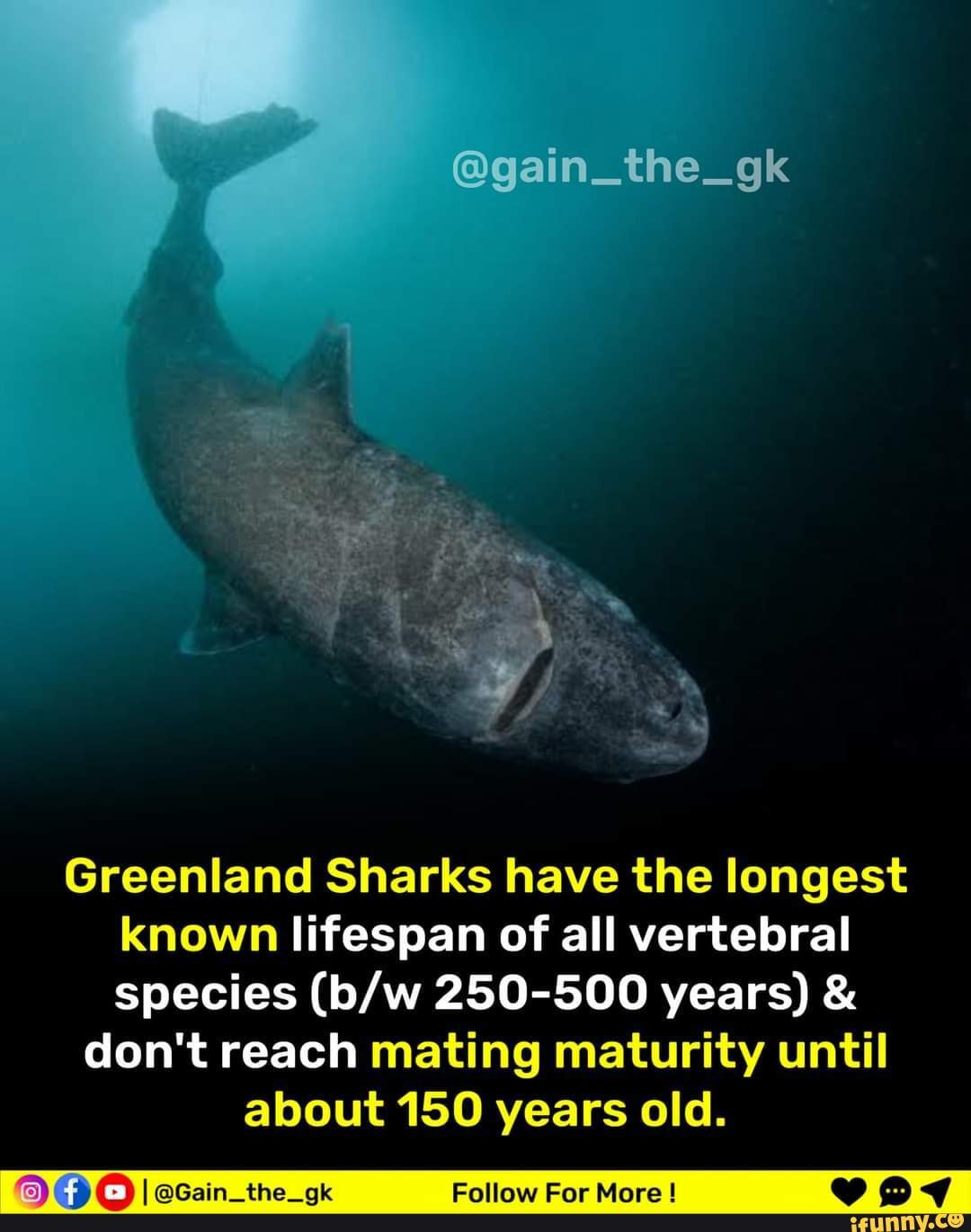 Vertebral memes. Best Collection of funny Vertebral pictures on iFunny