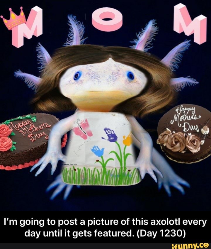 Funny Axolotl Memes