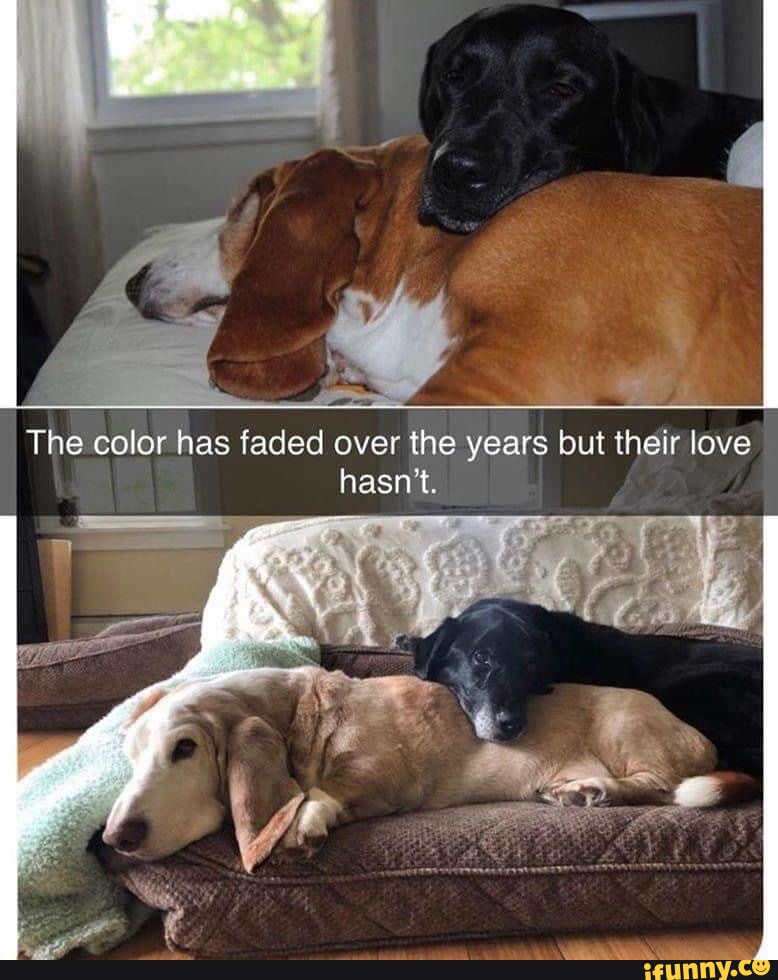 Why does every Splatoon band’s album cover look practically the same as ...