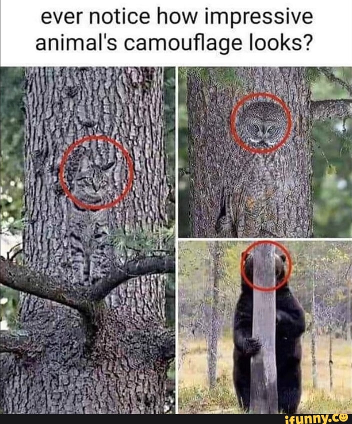 Razer : ma e a toaster Me : Finally I can take a bath in 60 fps - funny ...