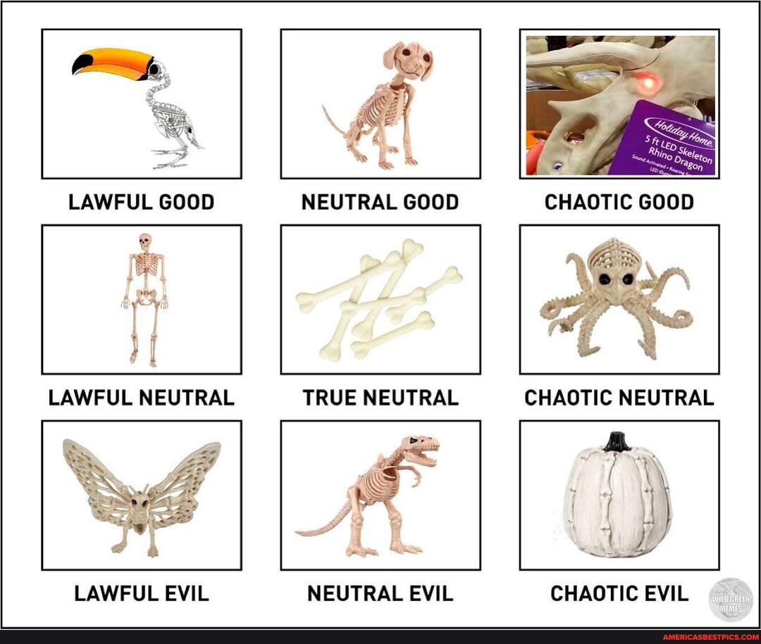 Which are you? 🎃 Meme by @beingevolved - NEUTRAL GOOD CHAOTIC GOOD TRUE ...