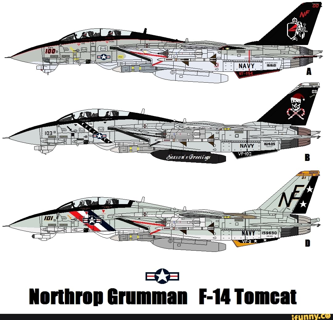 Northrop Grumman F-14 Tomcat - iFunny
