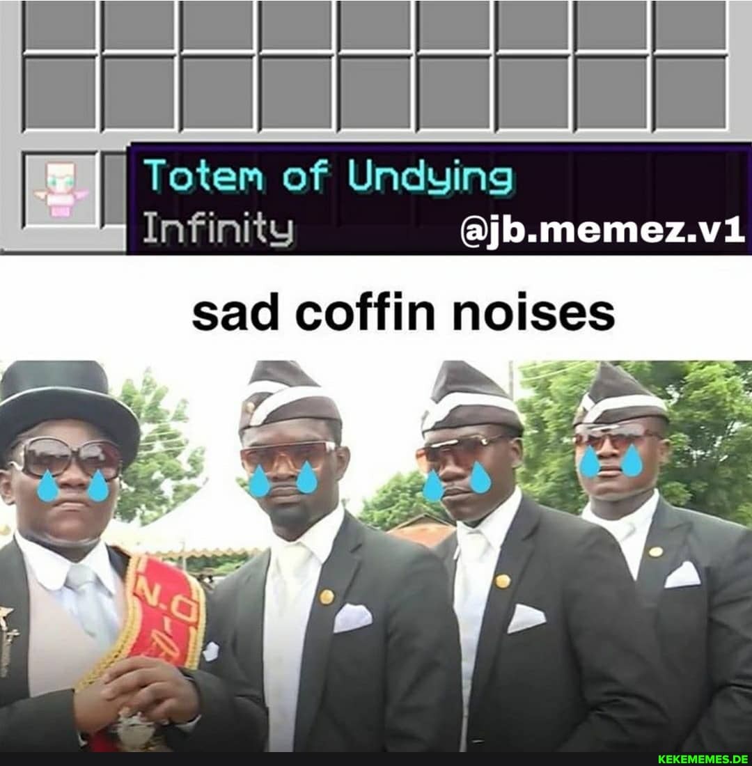Totem of Undying Infinity @jb.memez.v1 sad coffin noises - Keke