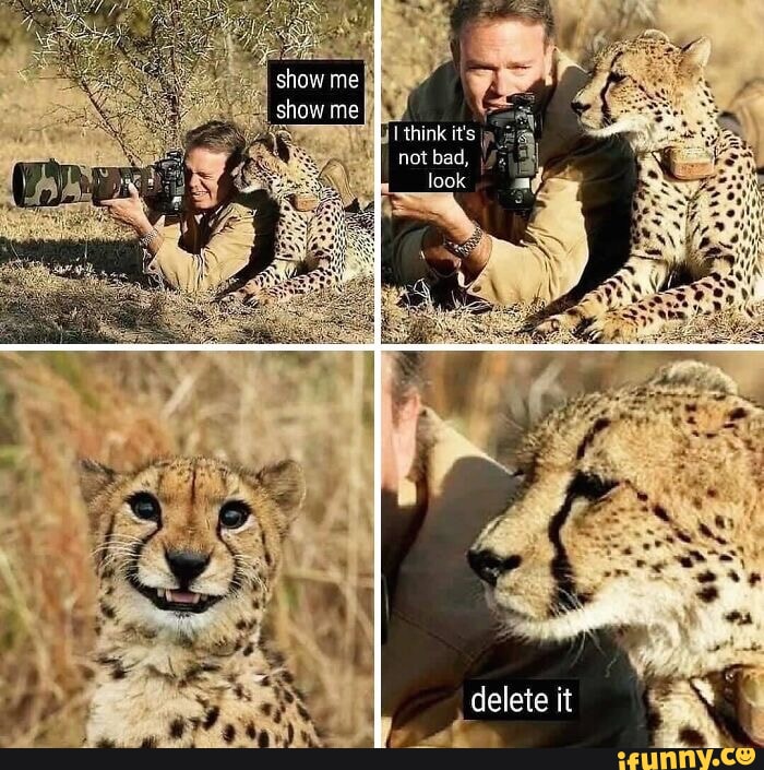 Show me I think it's not bad, look it - iFunny