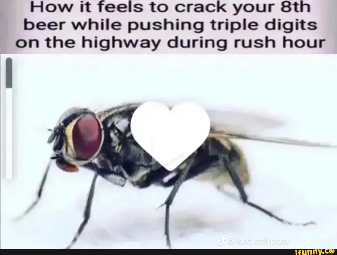 Digits memes. Best Collection of funny Digits pictures on iFunny