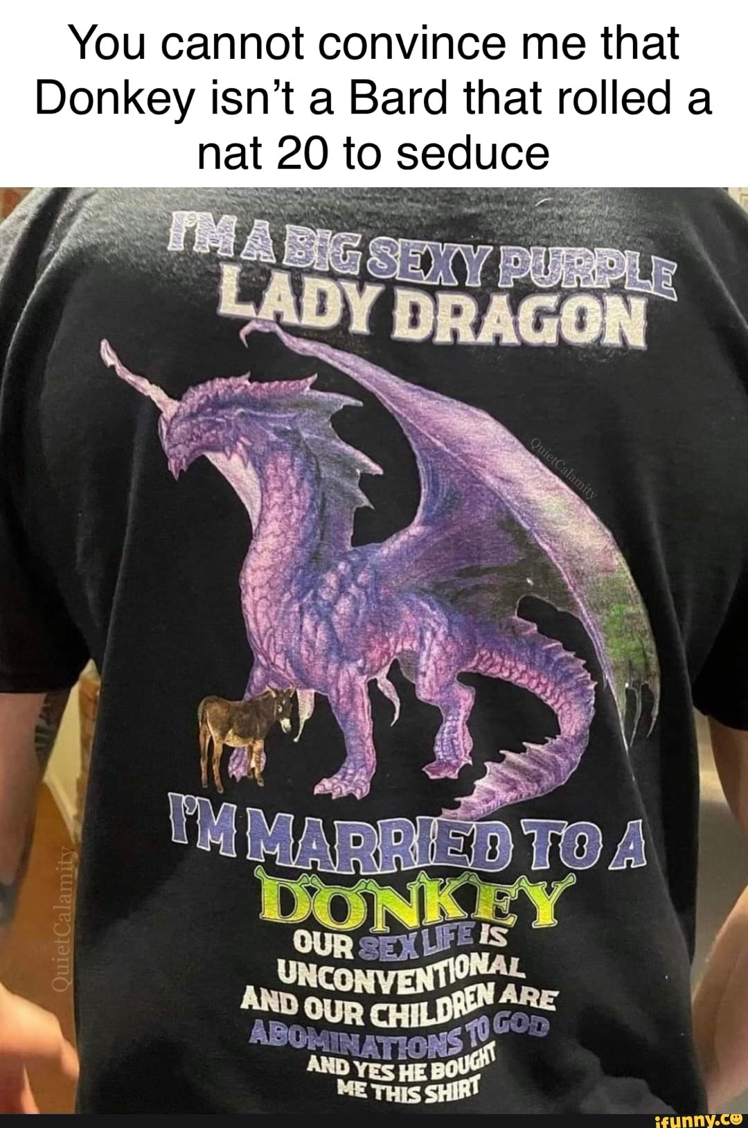 You cannot convince me that Donkey isn't a Bard that rolled a nat 20 to ...