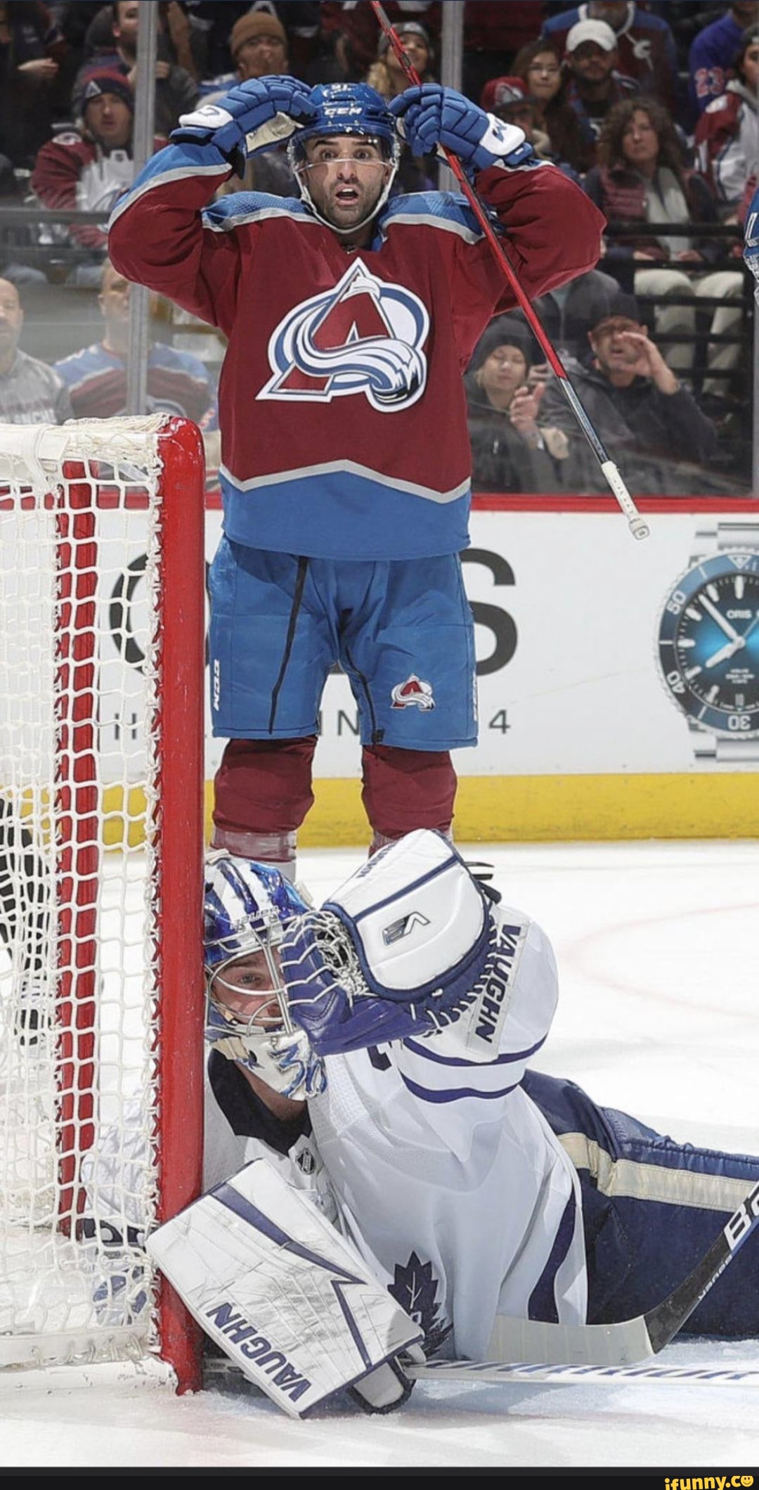 Toronto_maple_leafs memes. Best Collection of funny Toronto_maple_leafs ...