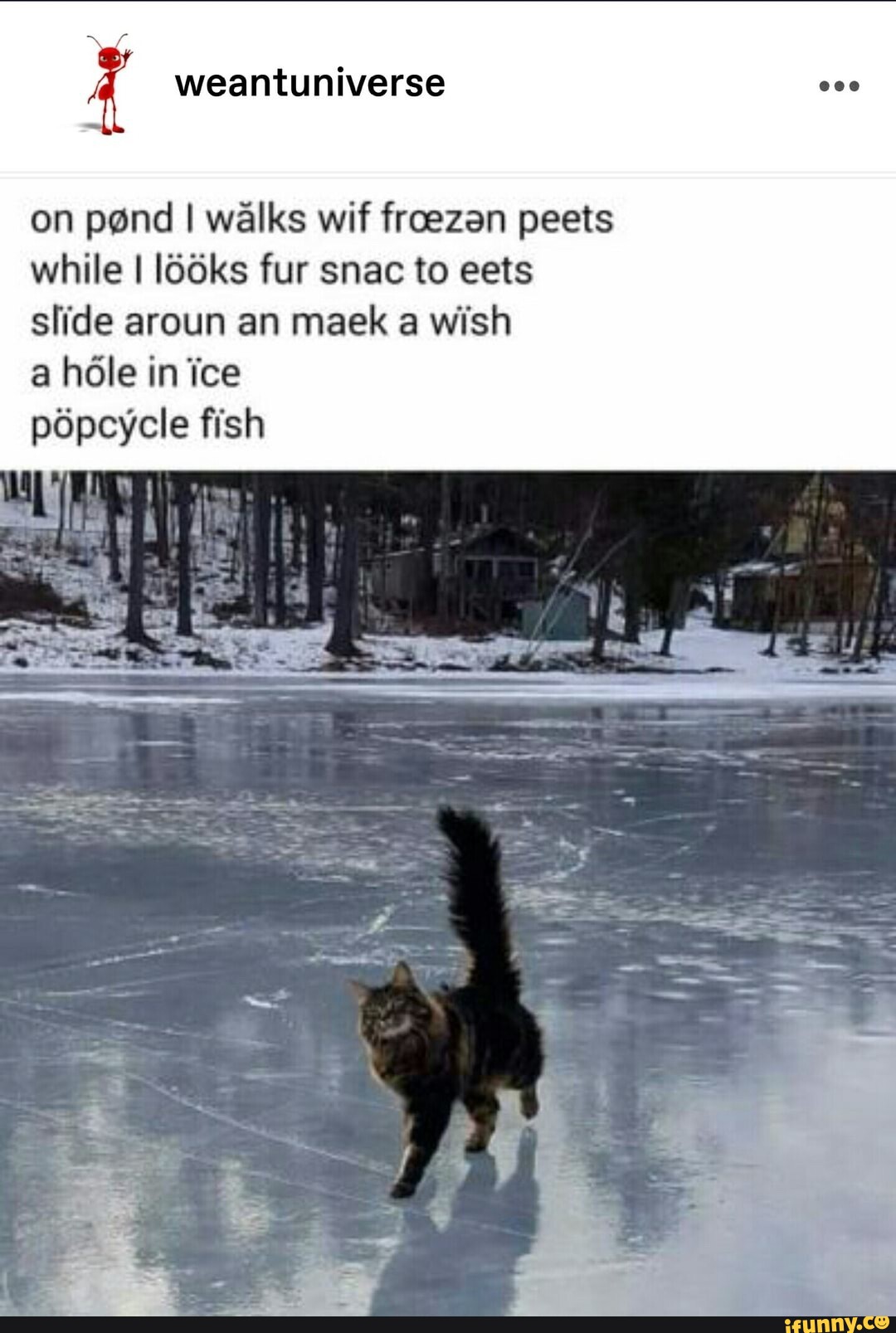 Peets memes. Best Collection of funny Peets pictures on iFunny