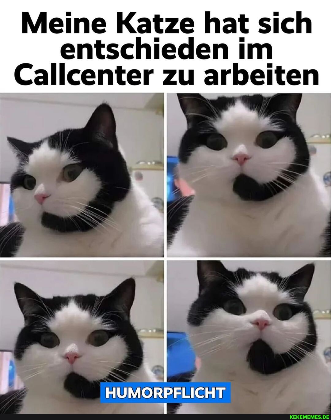 😂😂😂 #lustig #lustigebilder #lustigesbild #witzig #witzigebilder #lachen ...