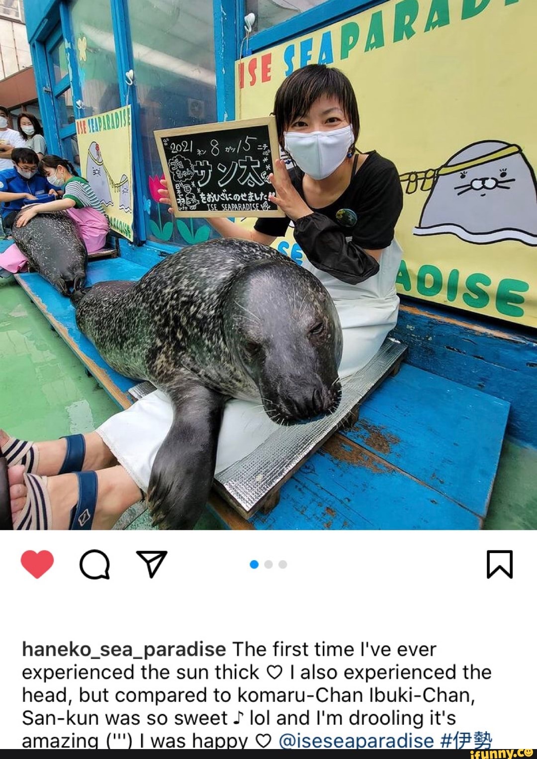 Komaru memes. Best Collection of funny Komaru pictures on iFunny