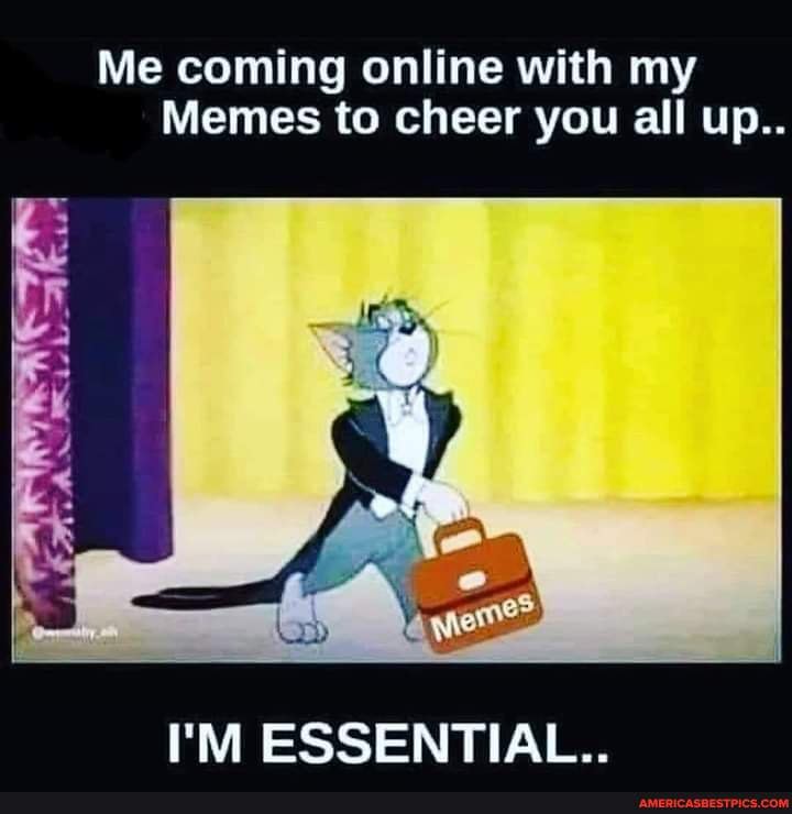 Me coming online with my Memes to cheer you all up.. I'M ESSENTIAL ...