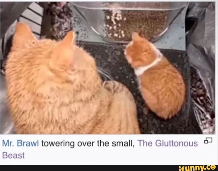 Towering memes. Best Collection of funny Towering pictures on iFunny