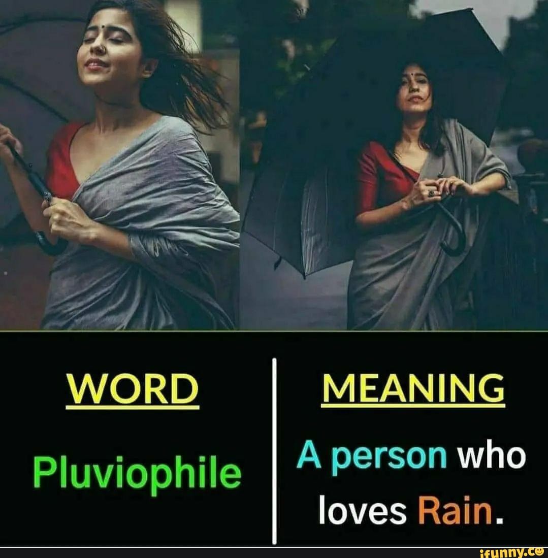 Pluviophile memes. Best Collection of funny Pluviophile pictures on iFunny
