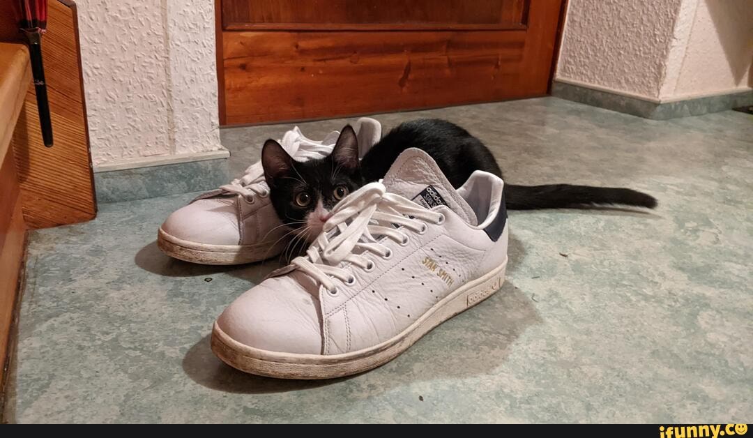 Lotti memes. Best Collection of funny Lotti pictures on iFunny