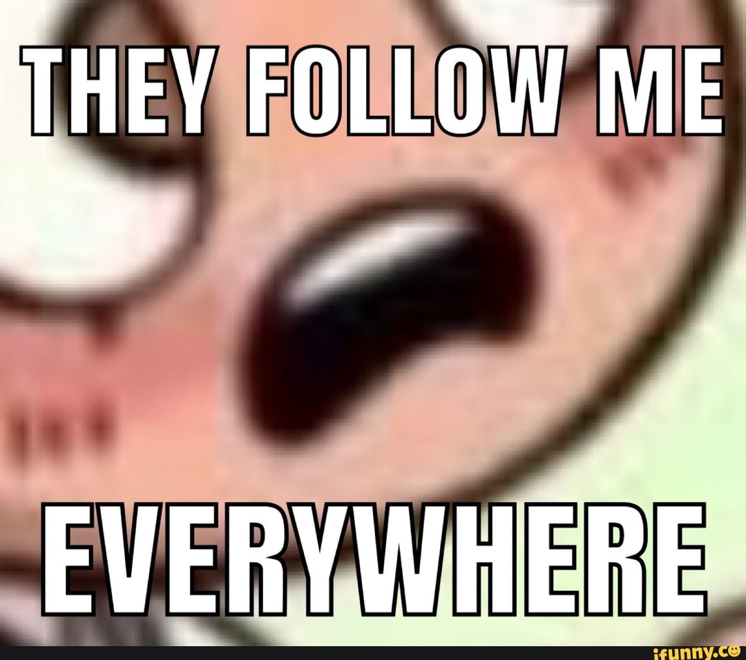 Er FOLLOW ME EVERYWHERE - iFunny
