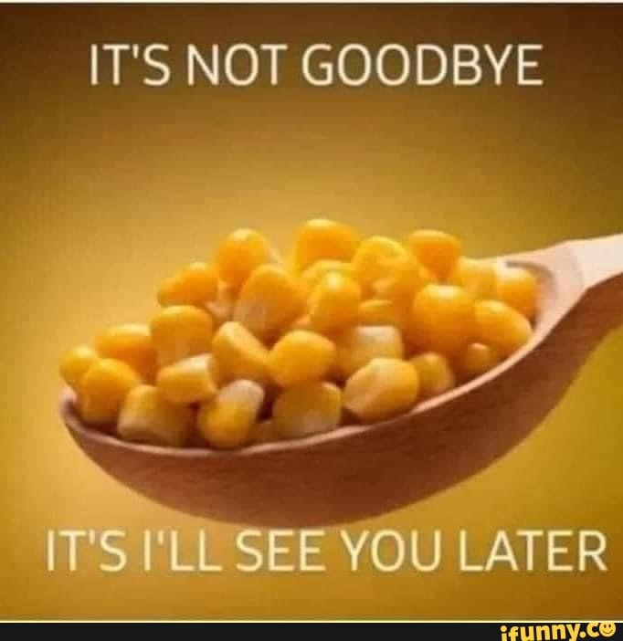 IT'S NOT GOODBYE IT'S SEE YOU LATER - iFunny