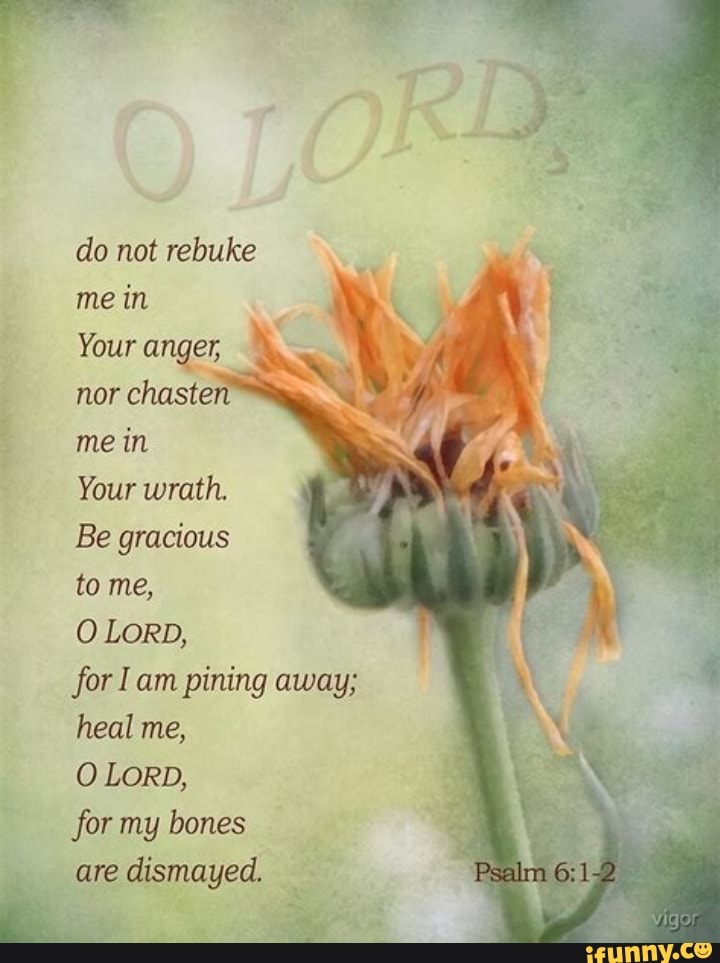 Rebuke memes. Best Collection of funny Rebuke pictures on iFunny