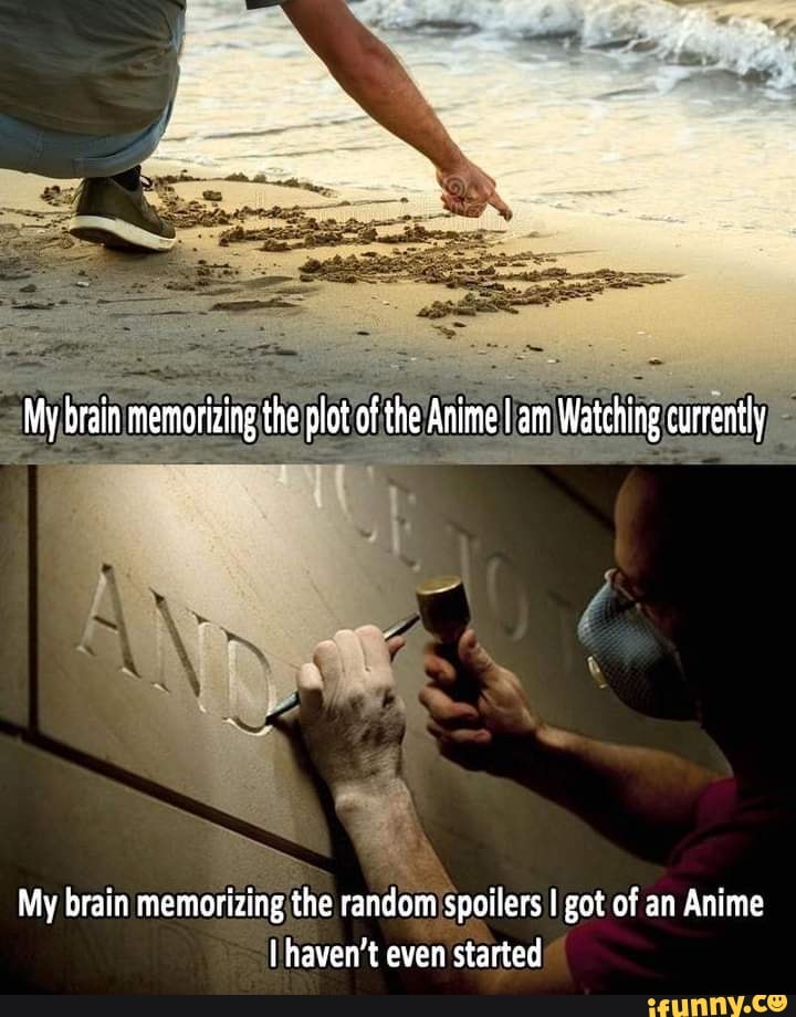 My brain memorizing the plot of the Anime I am Watching currently My ...