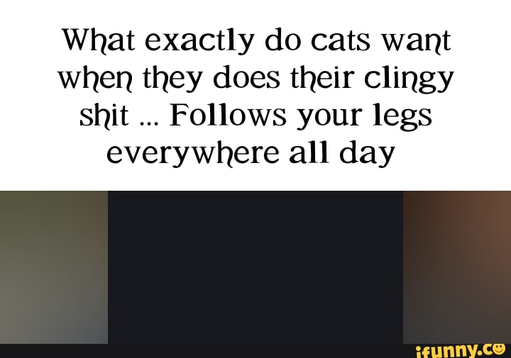 Legs memes. Best Collection of funny Legs pictures on iFunny