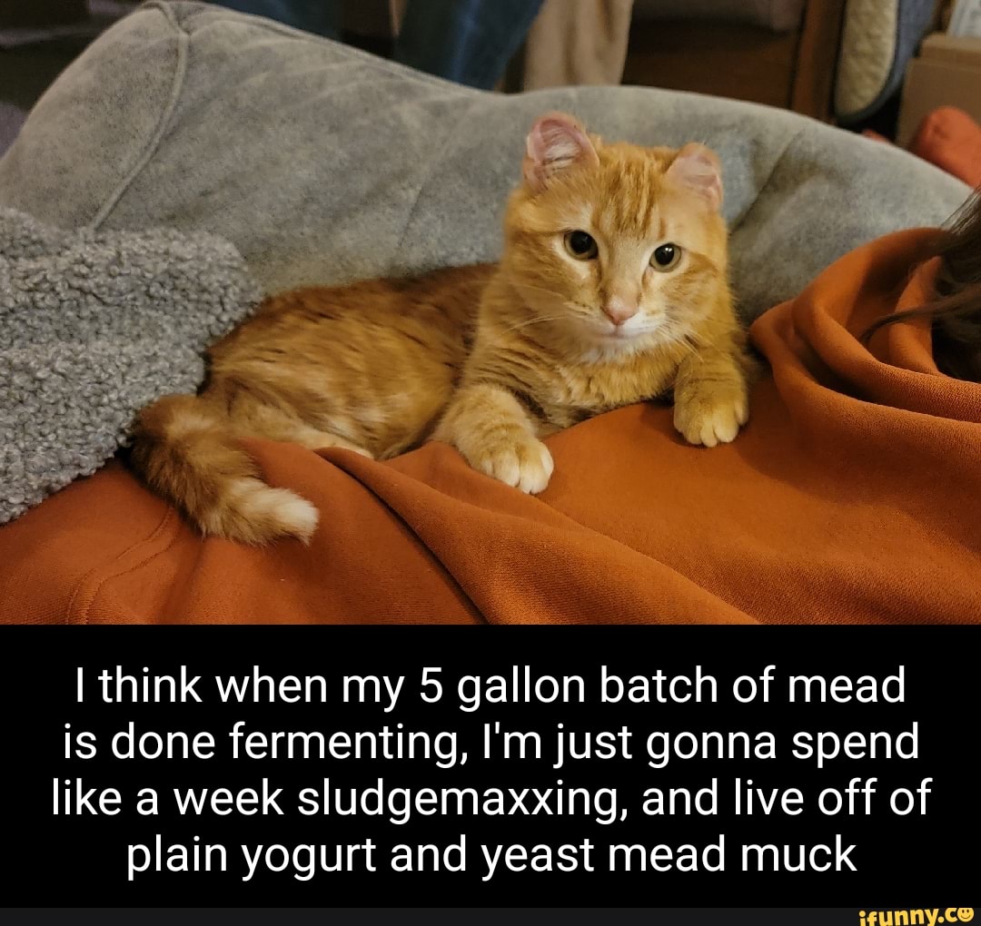 Sludgemaxxing memes. Best Collection of funny Sludgemaxxing pictures on ...