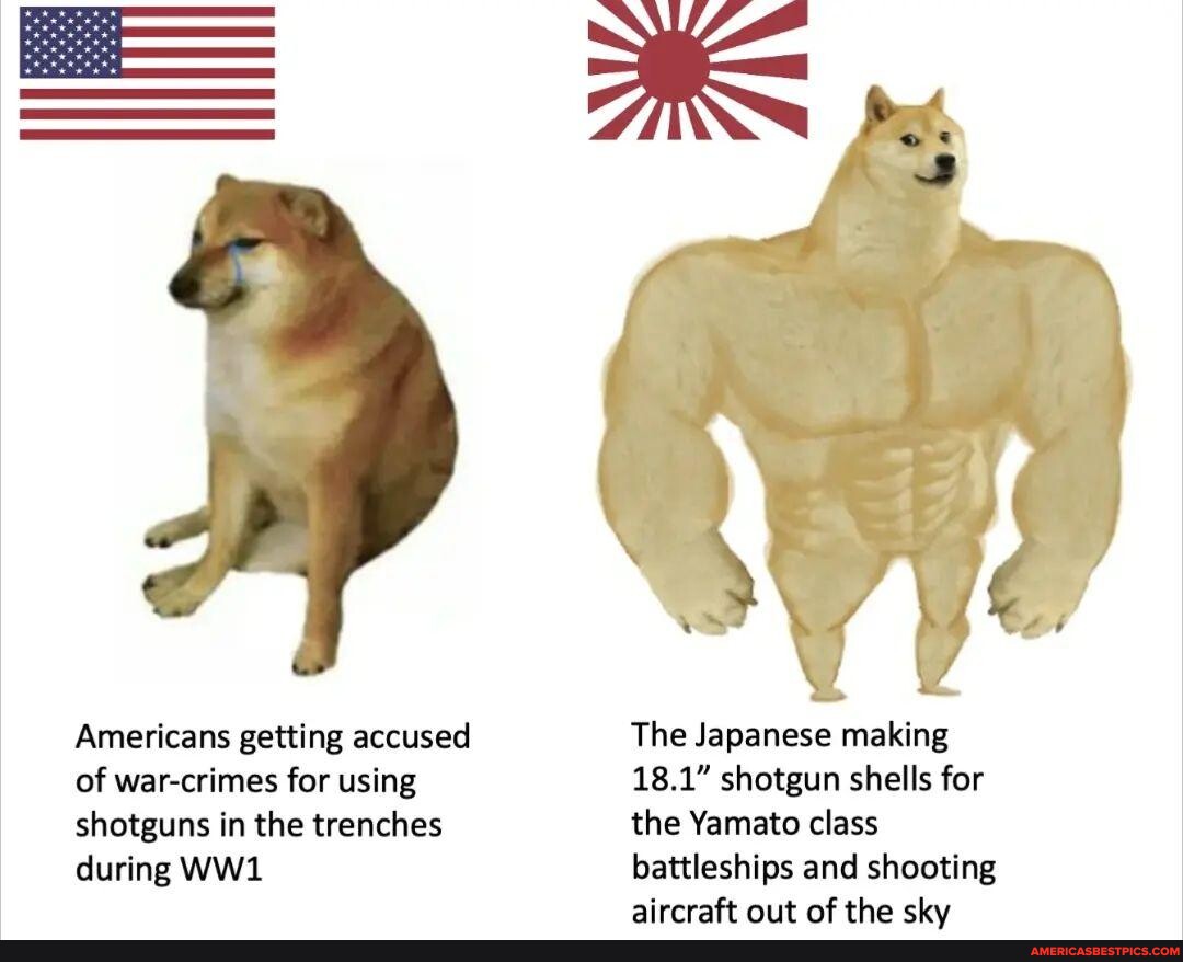 #ww1 #worldwars #shotgun #Japan #history #historymemes #warmemes ...