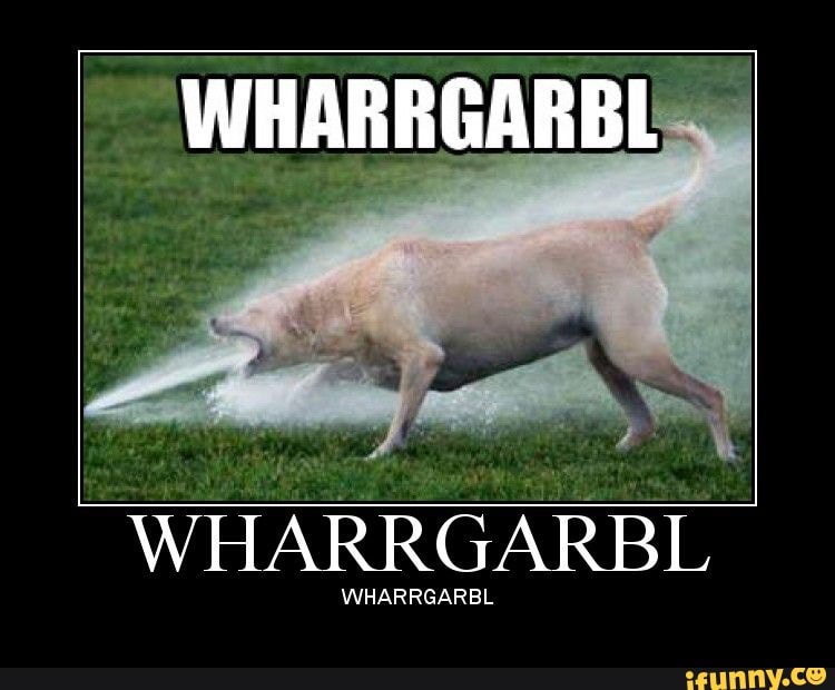 Wharrgarbl memes. Best Collection of funny Wharrgarbl pictures on iFunny