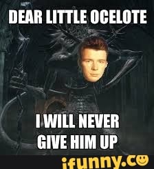 Ocelote memes. Best Collection of funny Ocelote pictures on iFunny
