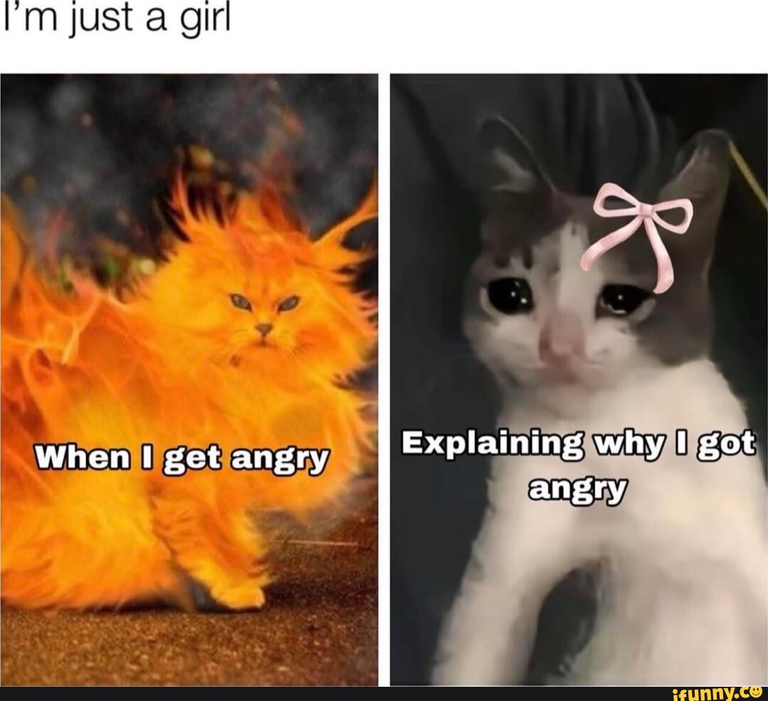 Explaining why got angry just When I get angry - iFunny