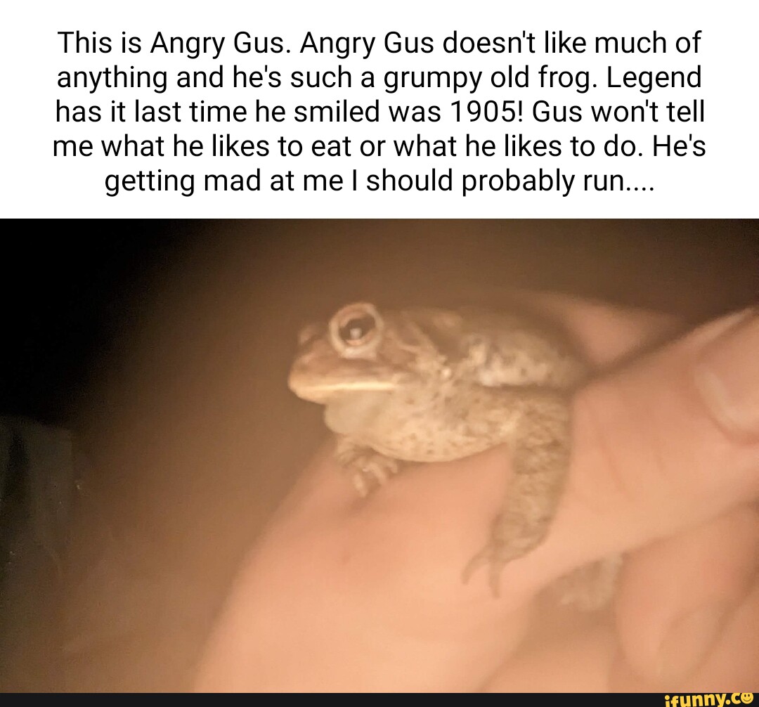 Toads memes. Best Collection of funny Toads pictures on iFunny