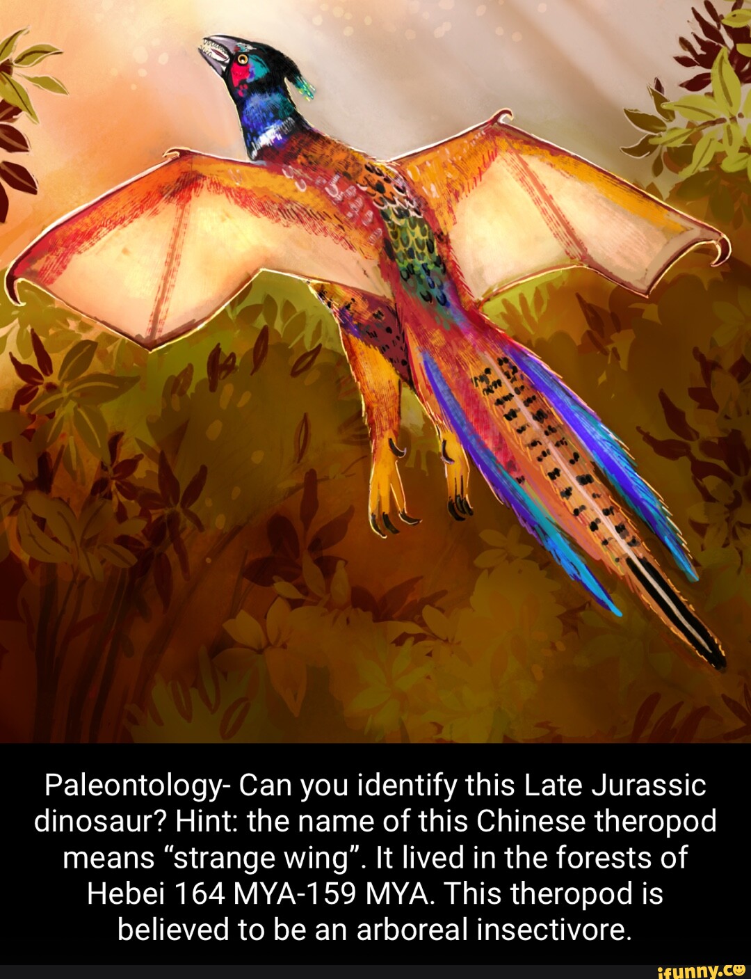Paleontology- Can you identify this Late Jurassic dinosaur? Hint: the ...