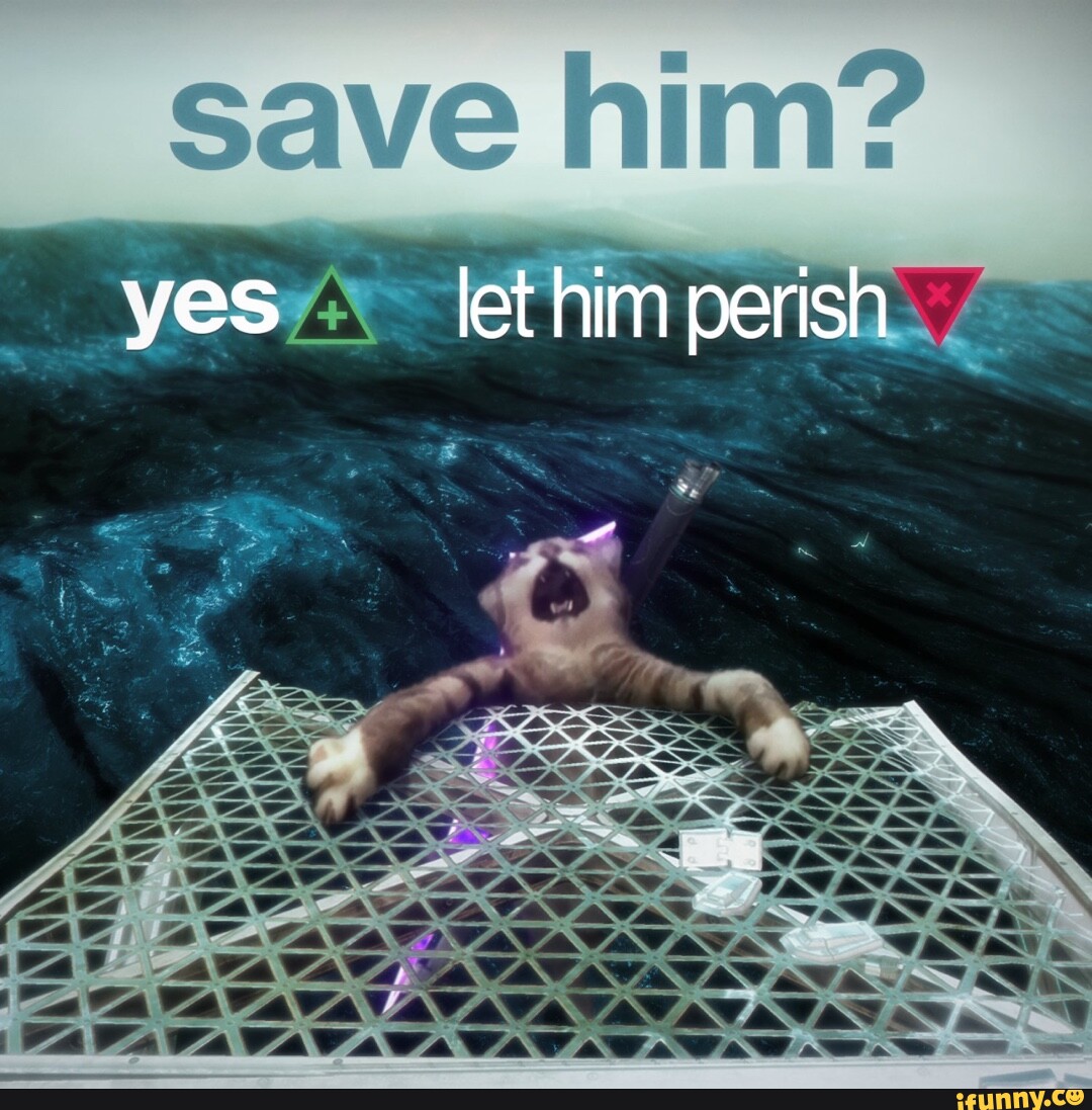 Yes let him perish Yo KN - iFunny
