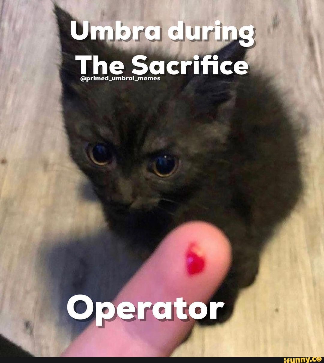 Umbra during The Sacrifice primed_umbral_memes Operator - iFunny