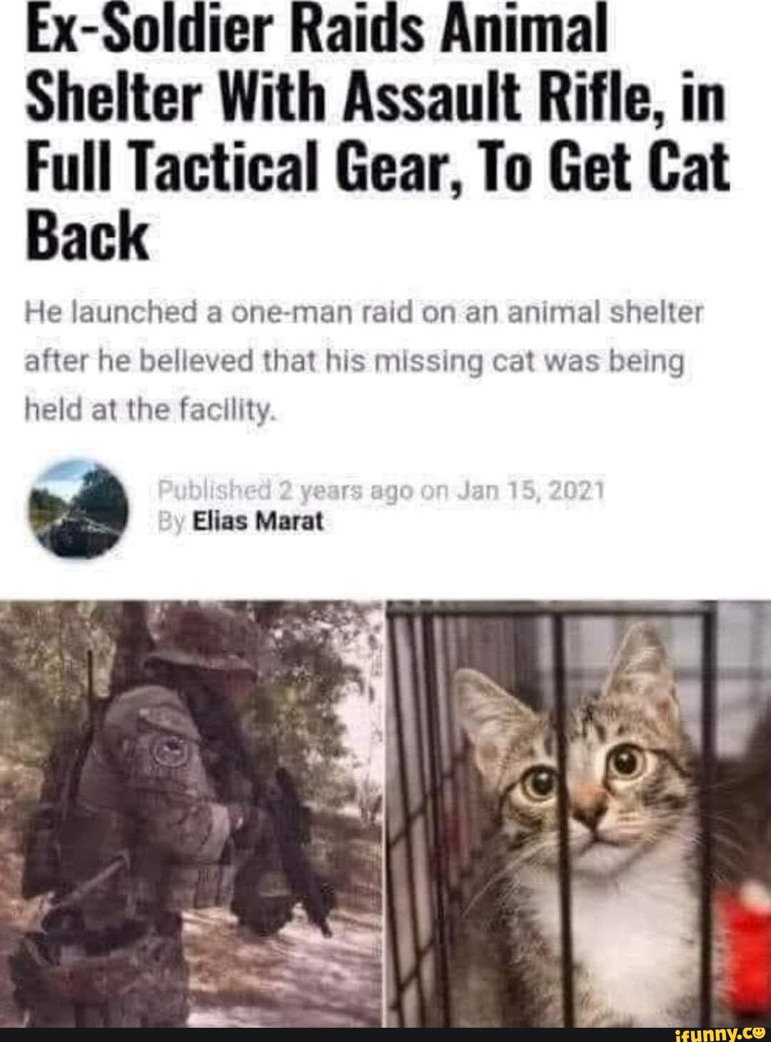 Ex-Soldier Raids Animal Shelter With Assault Rifle, in Full Tactical ...