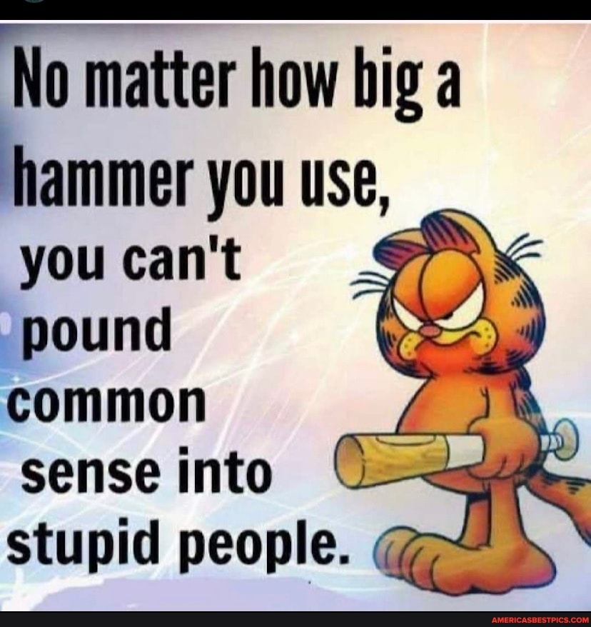 No matter how big a hammer you use, you can't pound common sense into ...