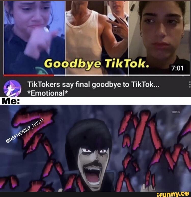 Goodbye TikTok. AN \ I TikTokers say final goodbye to TikTok... Lay ...