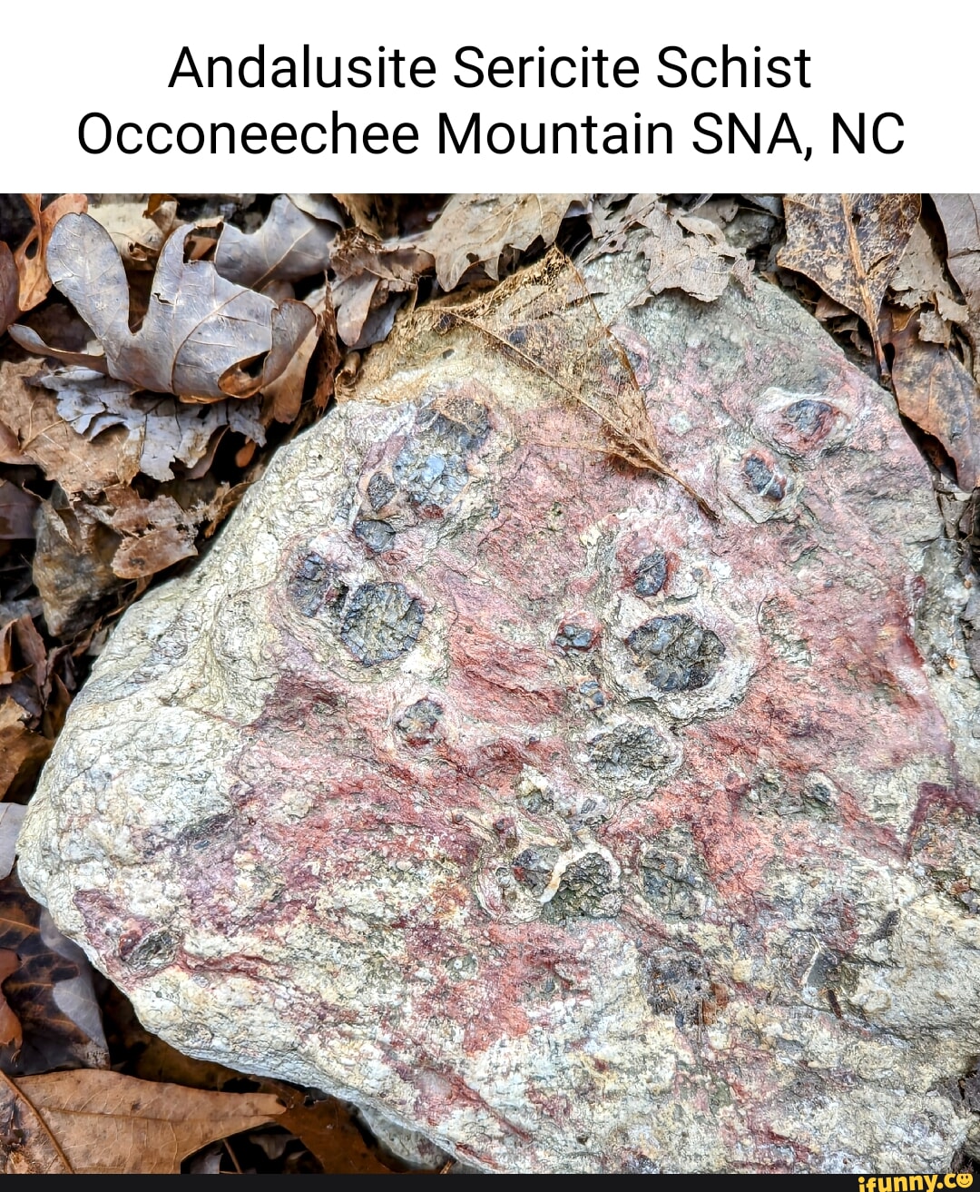 Schist memes. Best Collection of funny Schist pictures on iFunny