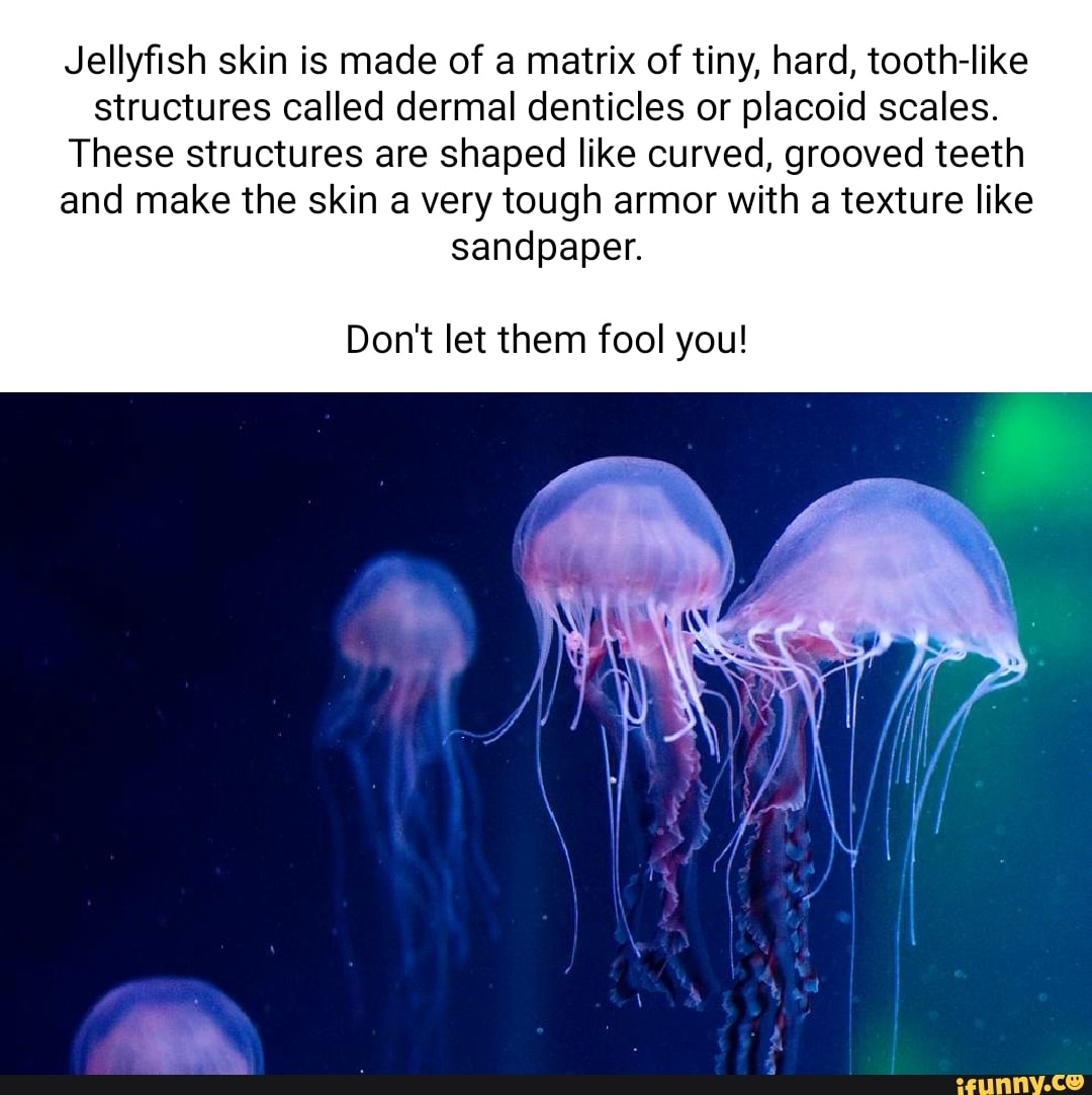 Jellyfish skin is made of a matrix of tiny, hard, tooth-like structures ...