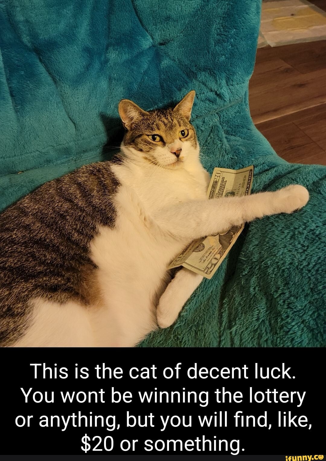 "Walter" "Joe Biden" Comedian Jeff Democratic Dunham's dummy Party's ...