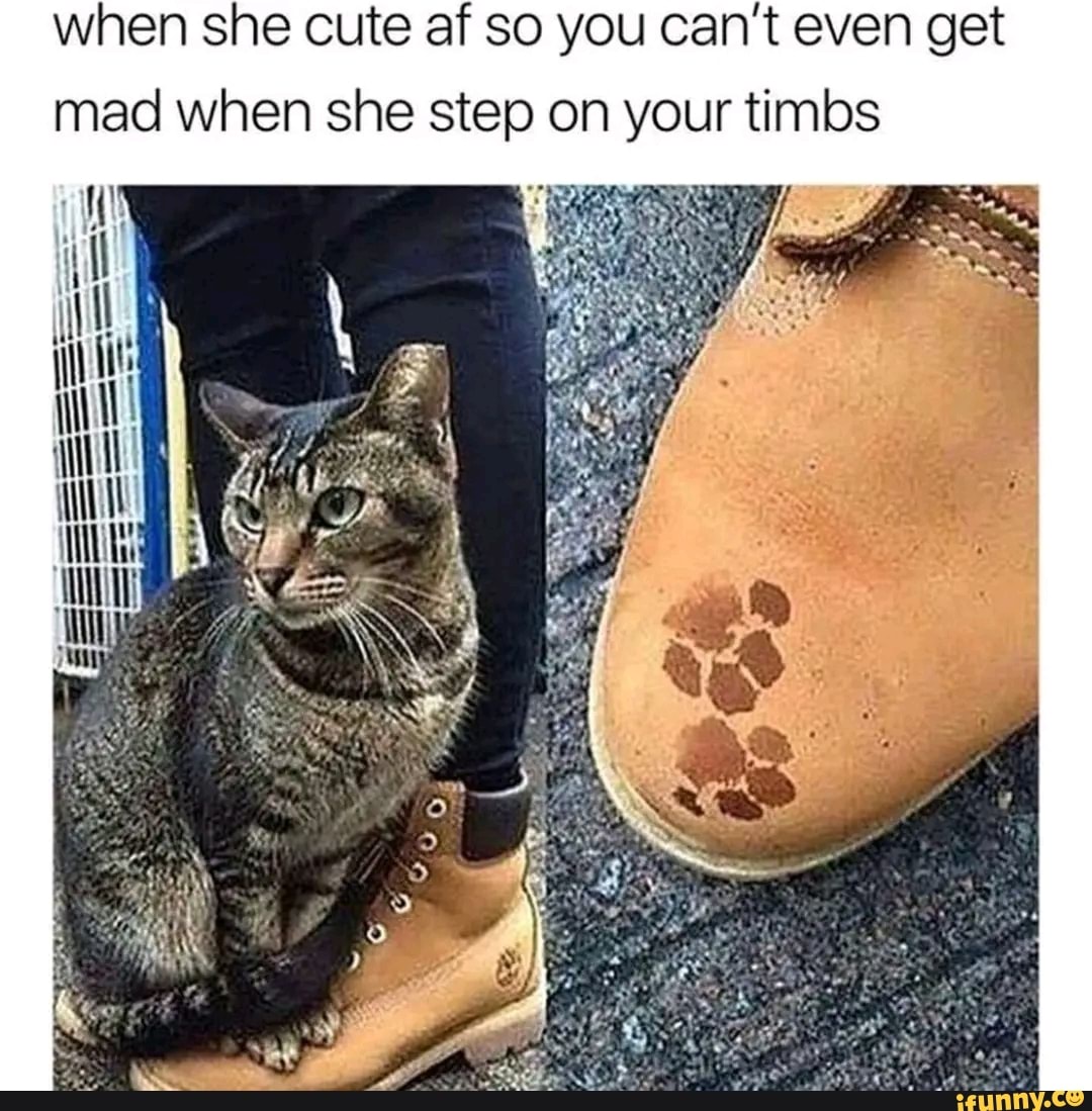 Timbs memes. Best Collection of funny Timbs pictures on iFunny