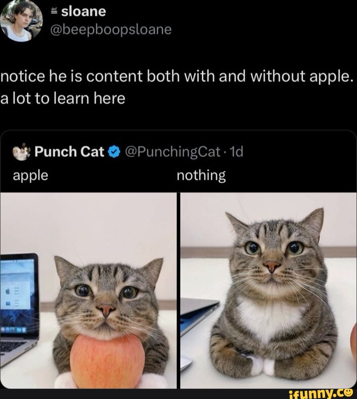 Sloane notice he is content both with and without apple. a lot to learn ...