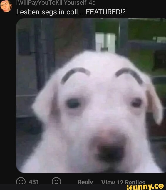 Coll memes. Best Collection of funny Coll pictures on iFunny